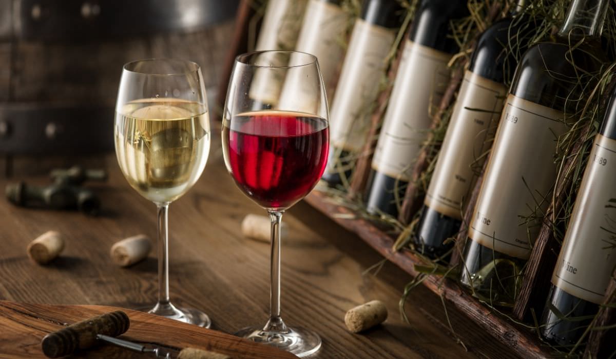 VINHOS DE PORTUGAL GANHA NOVO FORMATO EM 2020 – SindRio